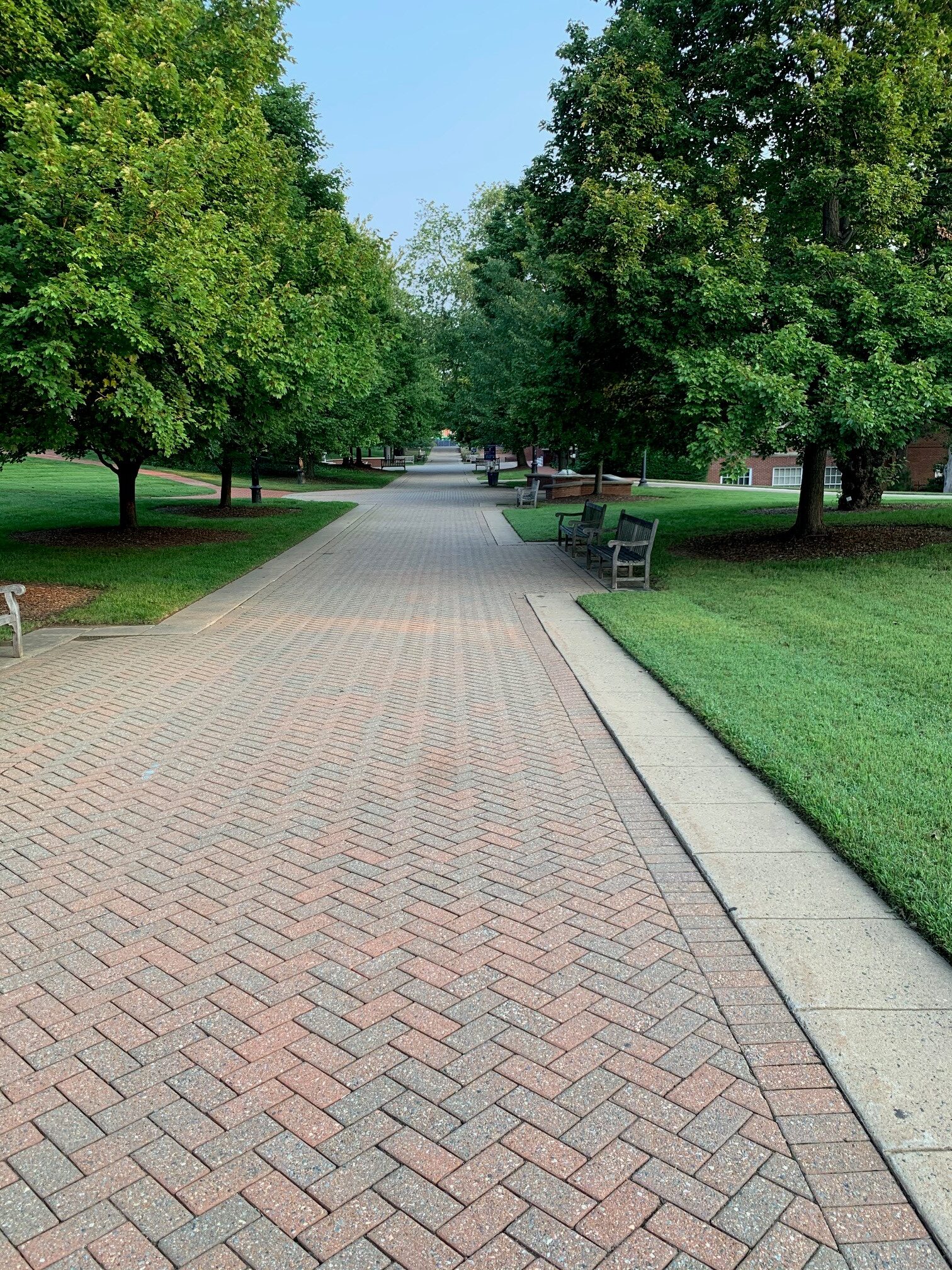 Landscape and Grounds - Facilities Services